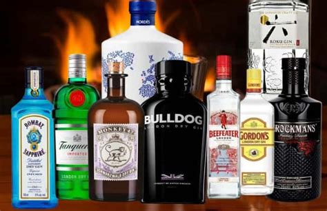 Las 20 marcas de ginebra más populares del mundo Mis Bebidas