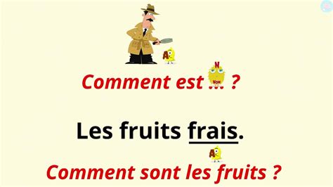 Les adjectifs CE2 les identifier et les utiliser Maître Lucas