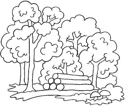 Bosque Naturaleza Dibujos Para Colorear E Imprimir Gratis