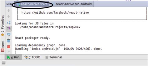 how to add command line arguments to react native start command in webstorm ides support