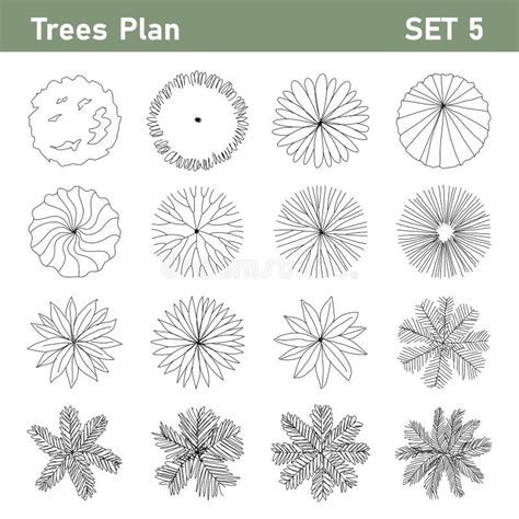 Tree Plan Drawing
