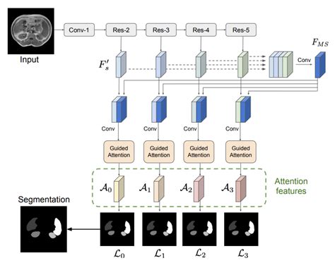 multi scale self guided attention for medical image segmentation papers with code
