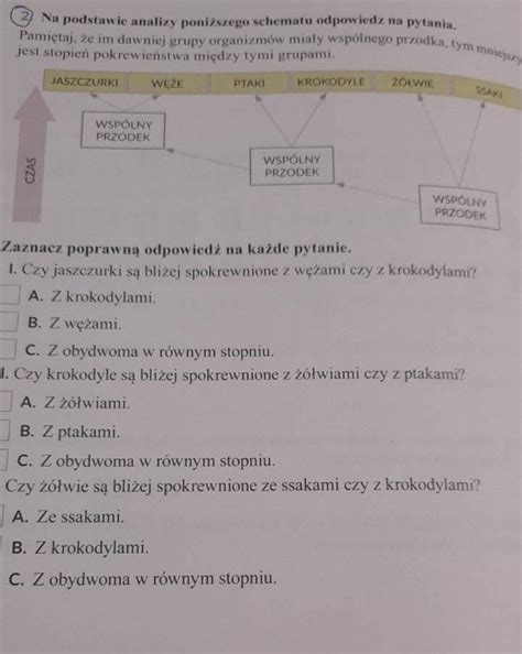Na Podstawie Analizy Ponizszego Schematu Odpowiedz Na Pytania Brainly Pl