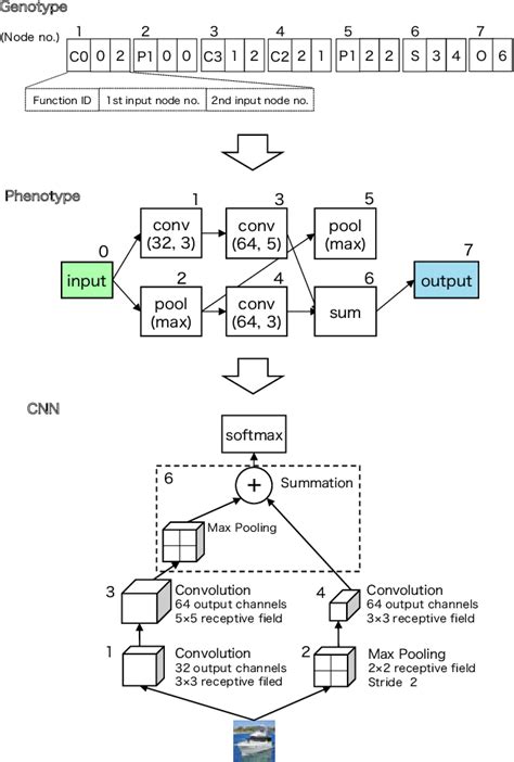 figure 1 from a genetic programming approach to designing convolutional neural network