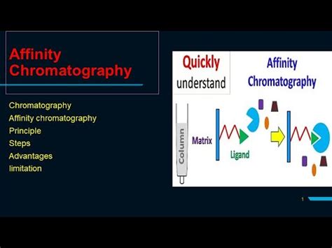 Affinity Chromatography Principle Steps Advantages And Limitation