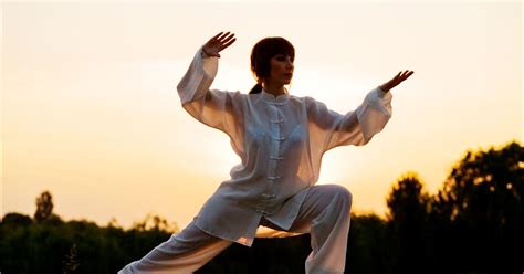 5 Principais Estilos Do Tai Chi Chuan