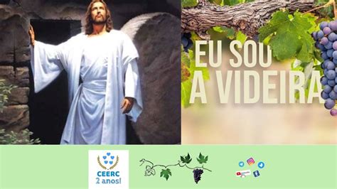 A VIDEIRA LIVRO CAMINHO VERDADE E VIDA 54 EMMANUEL CHICO XAVIER