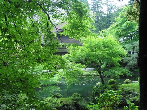 Zen Garden Wallpaper Hd Freetopwallpaper