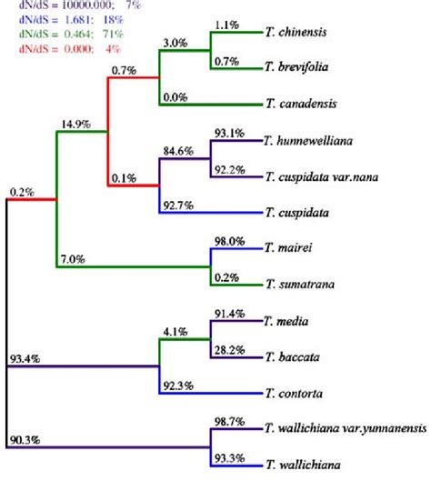 results from the genetic algorithm approach to detecting download scientific diagram