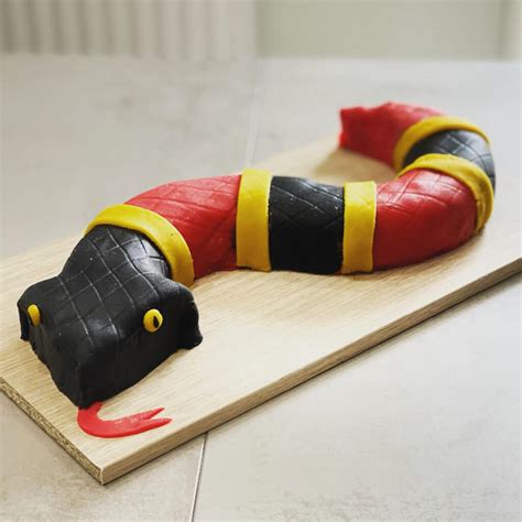 Snake Cake Mycake Academy
