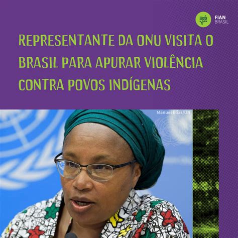 Representante da ONU visita o Brasil para apurar violência contra povos