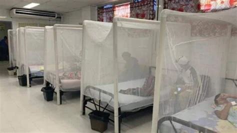 Por Dengue Mueren Otros Dos Menores De Edad En El Hospital Escuela