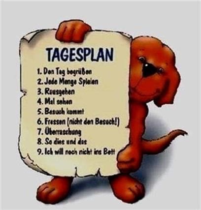ᐅ Guten Morgen Bilder Lustig Kostenlos GB Pics GBPicsBilder