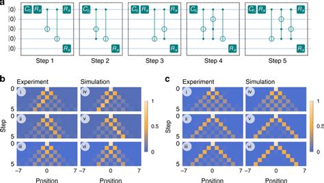 circuit implementation of quantum walks on a trapped ion processor and download scientific