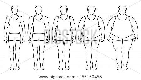 Body Mass Index Vector Photo Free Trial Bigstock