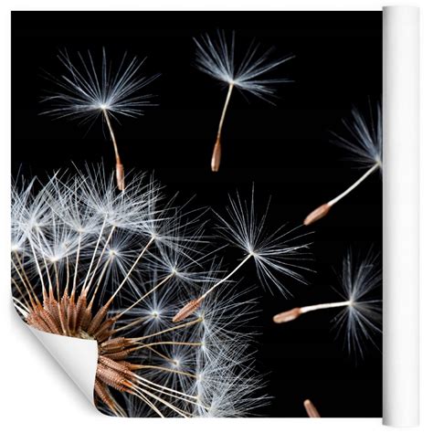 Fototapeta Dmuchawce Kwiaty 3d Salon 60x90 F F 60X90 W 175455505 I