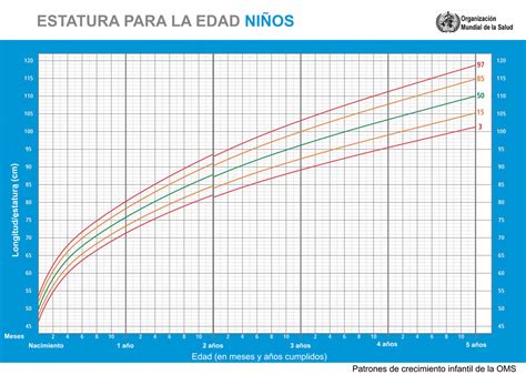 Tabla De Peso Y Talla De Los Bebes El Percentil De Los Ninos NBKomputer