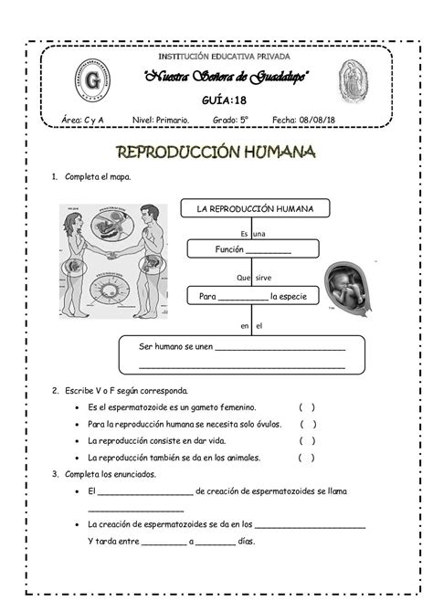 Reproducción Humana