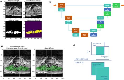 visualization of the effectiveness of the semantic segmentation