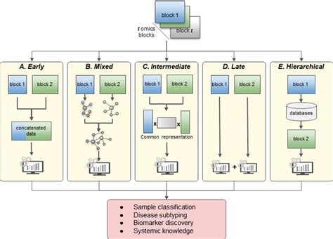 Integration Strategies Of Multi Omics Data For Machine Learning