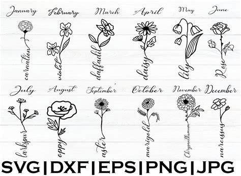 Birth Month Svg Bundle Birth Month Flowers Svg Wildflower Svg