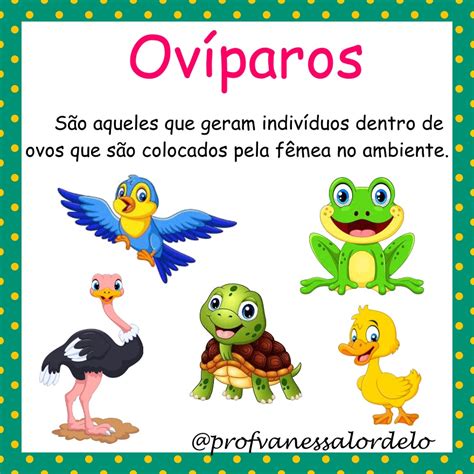 Atividades Sobre Animais Ov Paros Viv Paros E Ovoviv Paros Ano