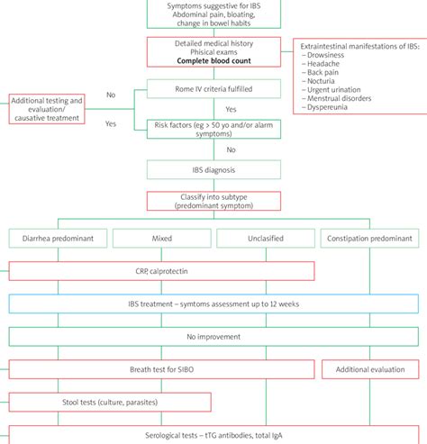 Proposed Diagnostic Algorithm For Diagnose Of Ibs Ibs Irritable Bowel