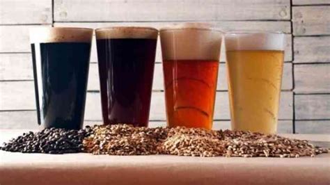 C Mo Hacer Cerveza Artesanal En Nuestra Casa Paso A Paso