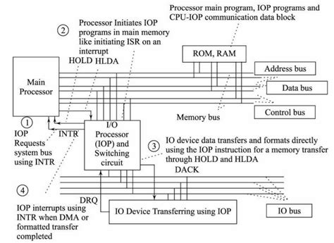 input output processor coding ninjas