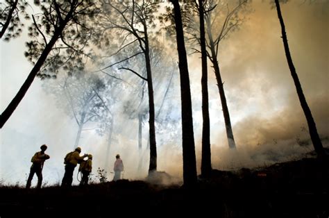 Qué son los fenómenos naturales Tipos y ejemplos