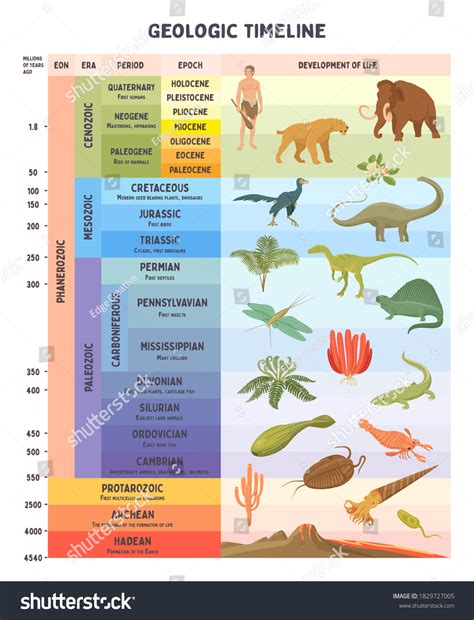 Escala De Tiempo Geológico Ciencias De La Tierra