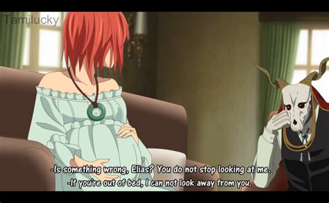 Pin On The Ancient Magus Bride