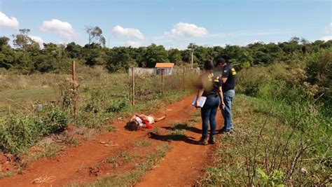 Mulher Encontrada Morta Tem 27 Anos E Estava Corda Amarrada Ao