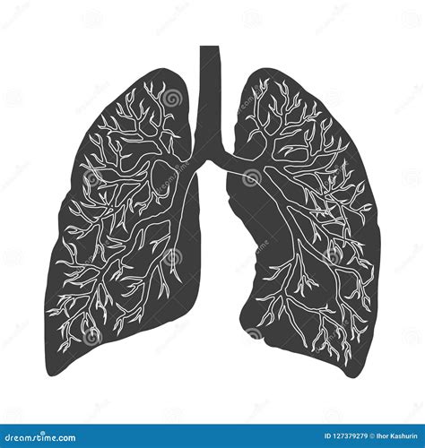 Icono Negro Del Vector De Los Pulmones Ilustración del Vector