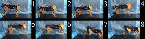figure 11 from optimization of standing long jump strategy on a small quadruped robot semantic