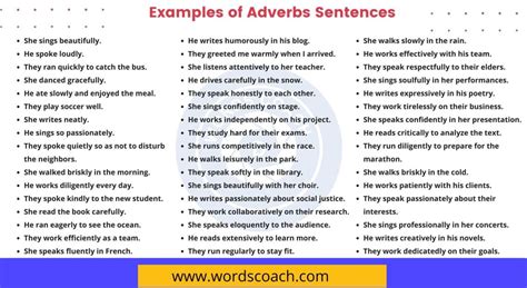 Examples Of Adverbs Sentences In English Word Coach