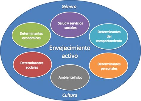 Envejecimiento activo una aproximación teórica Grupo Albertia