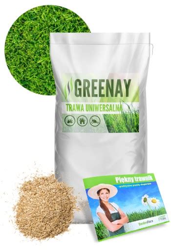 TRAWA SZYBKO ZAGESZCZAJĄCA NASIONA TRAWY UNIWERSALNA ODPORNA GREENAY