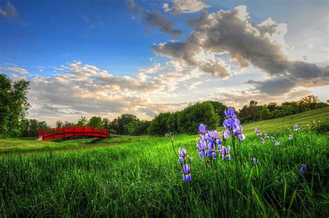 Details Pleasant Background Images Hd Abzlocal Mx