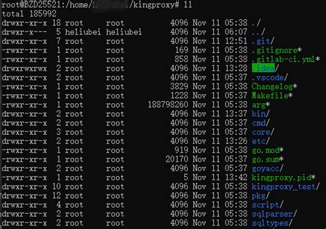 Goland Ubuntu WSL2 Unable To Save Settings Failed To Save