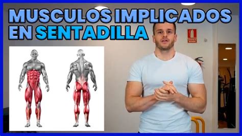 Descubre los músculos que trabajan en una sentadilla La clave para