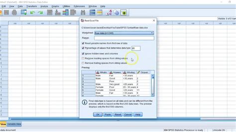 Importing Data From Excel To Spss Using Syntax Youtube