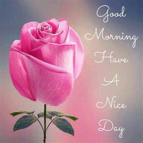 Free Good Morning Images Beautiful Good Morning Images Greetings1