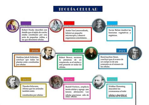 Línea del tiempo de la teoría celular Facilitando tu estudio uDocz