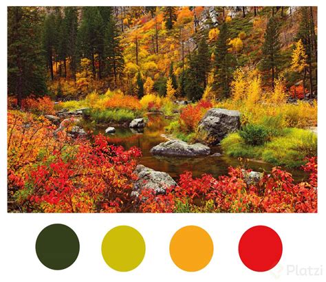 Percibir Importancia Colgar Armonia De Colores Intensivo Silueta Pobre