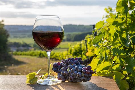 Tre Bicchieri I Migliori Vini Dell Alto Adige Premiati Dal