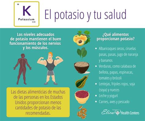 El Potasio Y Tu Salud Salud Vitaminas Y Minerales Vida Saludable
