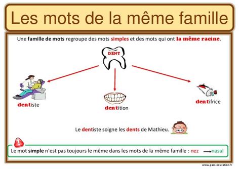 Les familles de mots Exercice pour enfant Grammaire collège