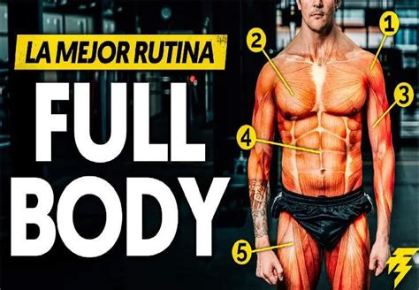 Cu L Es La Mejor Rutina Full Body Para Ganar M Sculo
