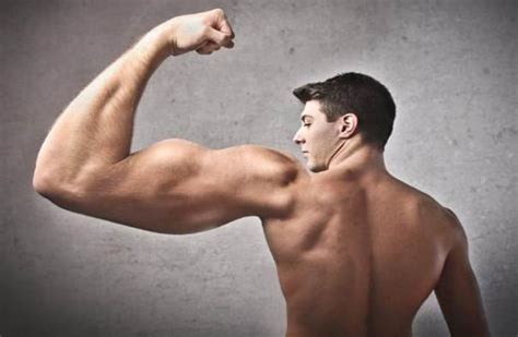 Circuito de entrenamiento para el brazo Bíceps Tríceps